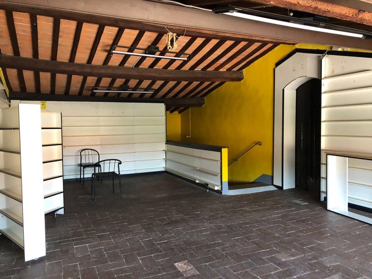 Esercizio commerciale in affitto a Pisa