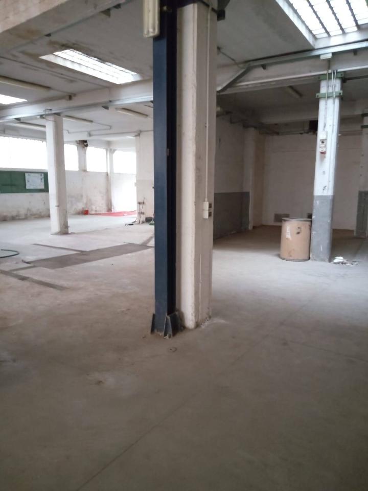 Esercizio commerciale in affitto a Pisa