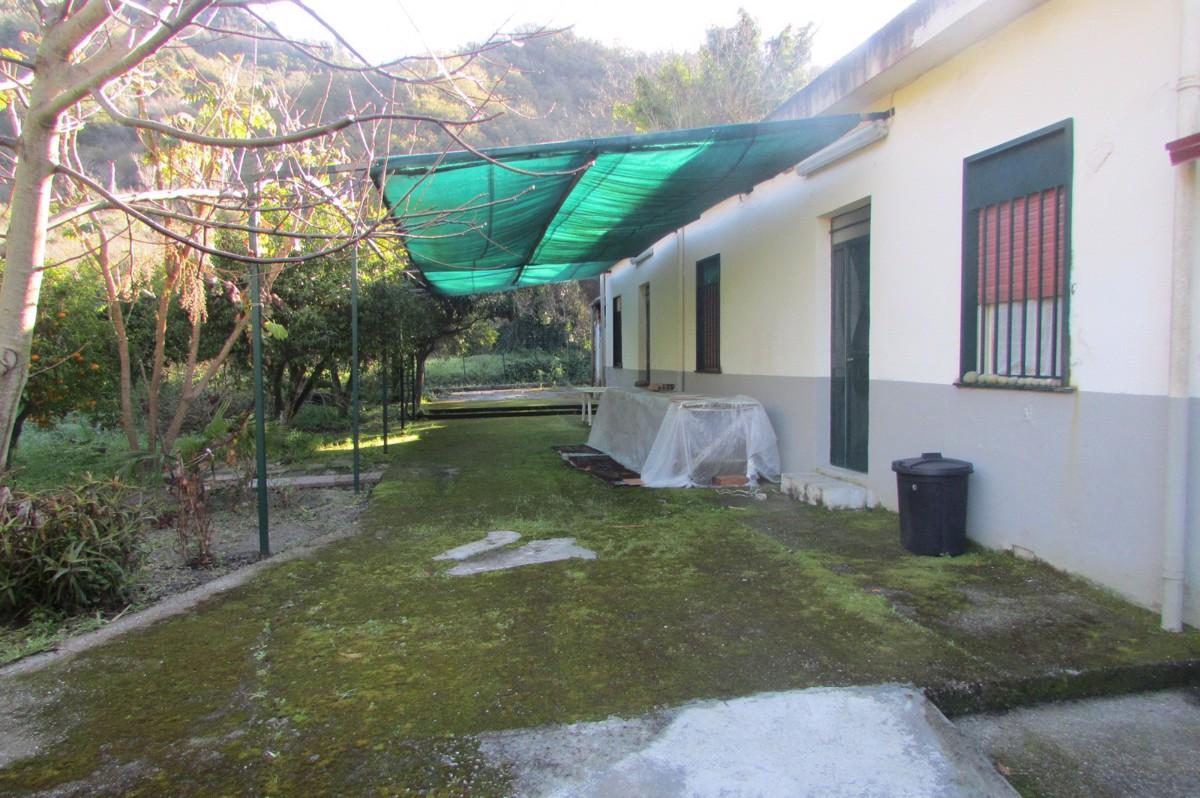 Terreno agricolo in vendita a Monforte San Giorgio