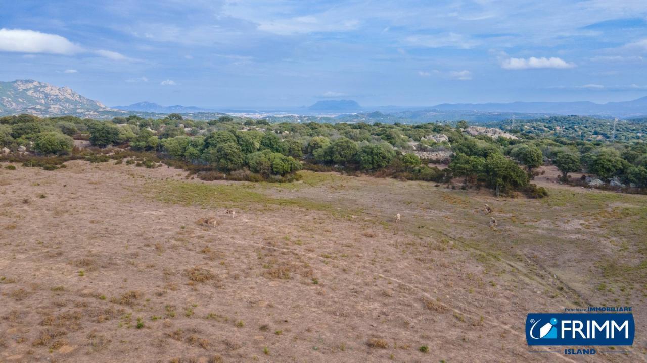 Terreno agricolo in vendita a Telti