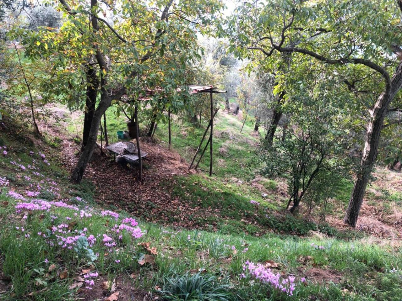 Terreno agricolo in vendita a Vico Equense