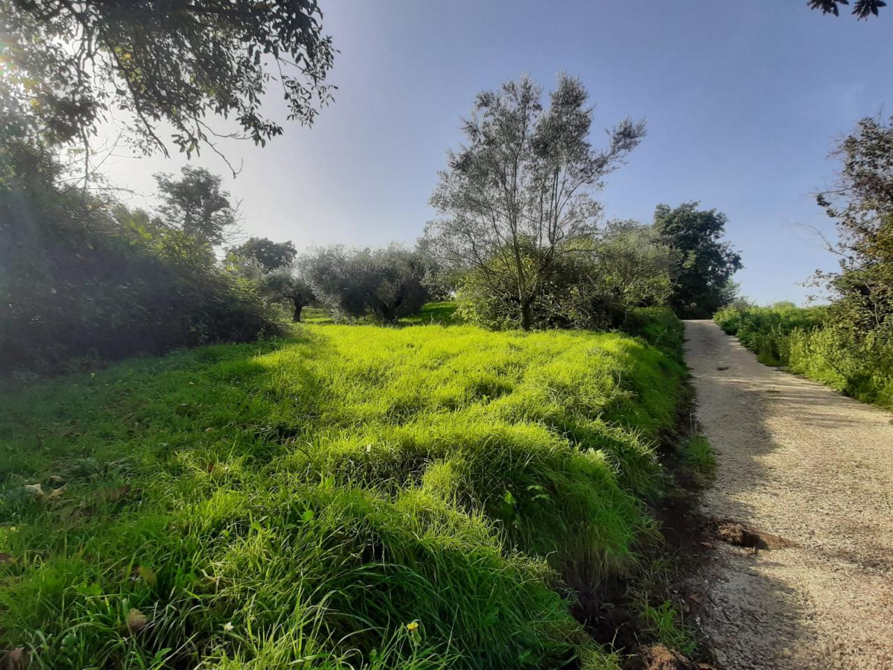 Terreno edificabile in vendita a Riano