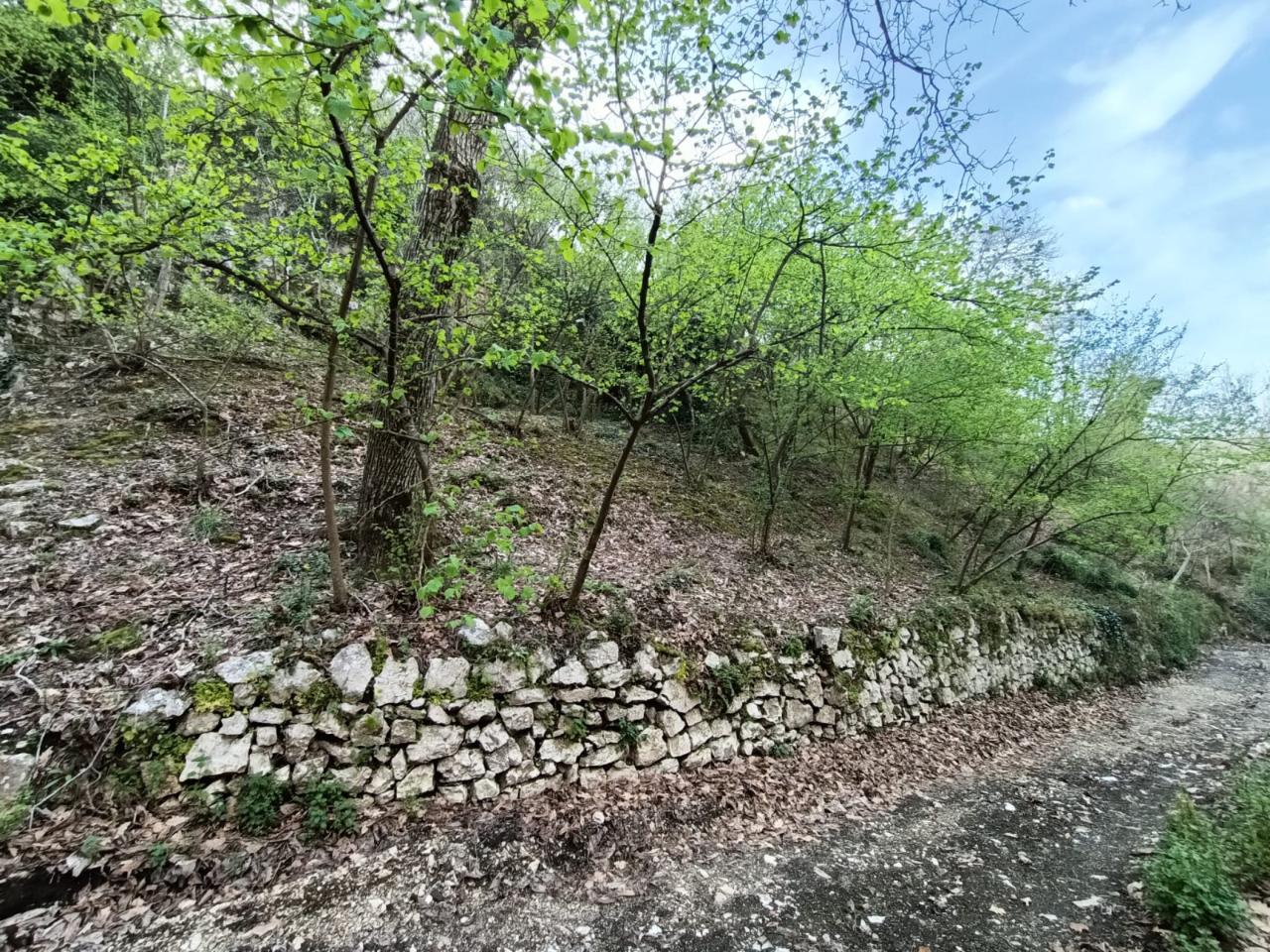 Terreno agricolo in vendita a Palma Campania