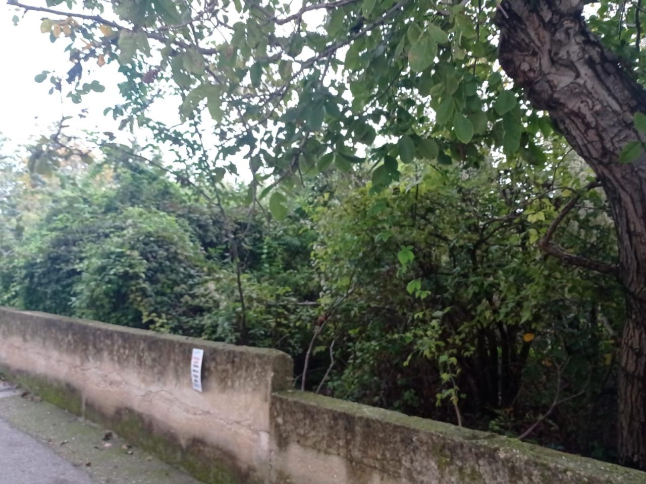 Terreno agricolo in vendita a San Giuseppe Vesuviano