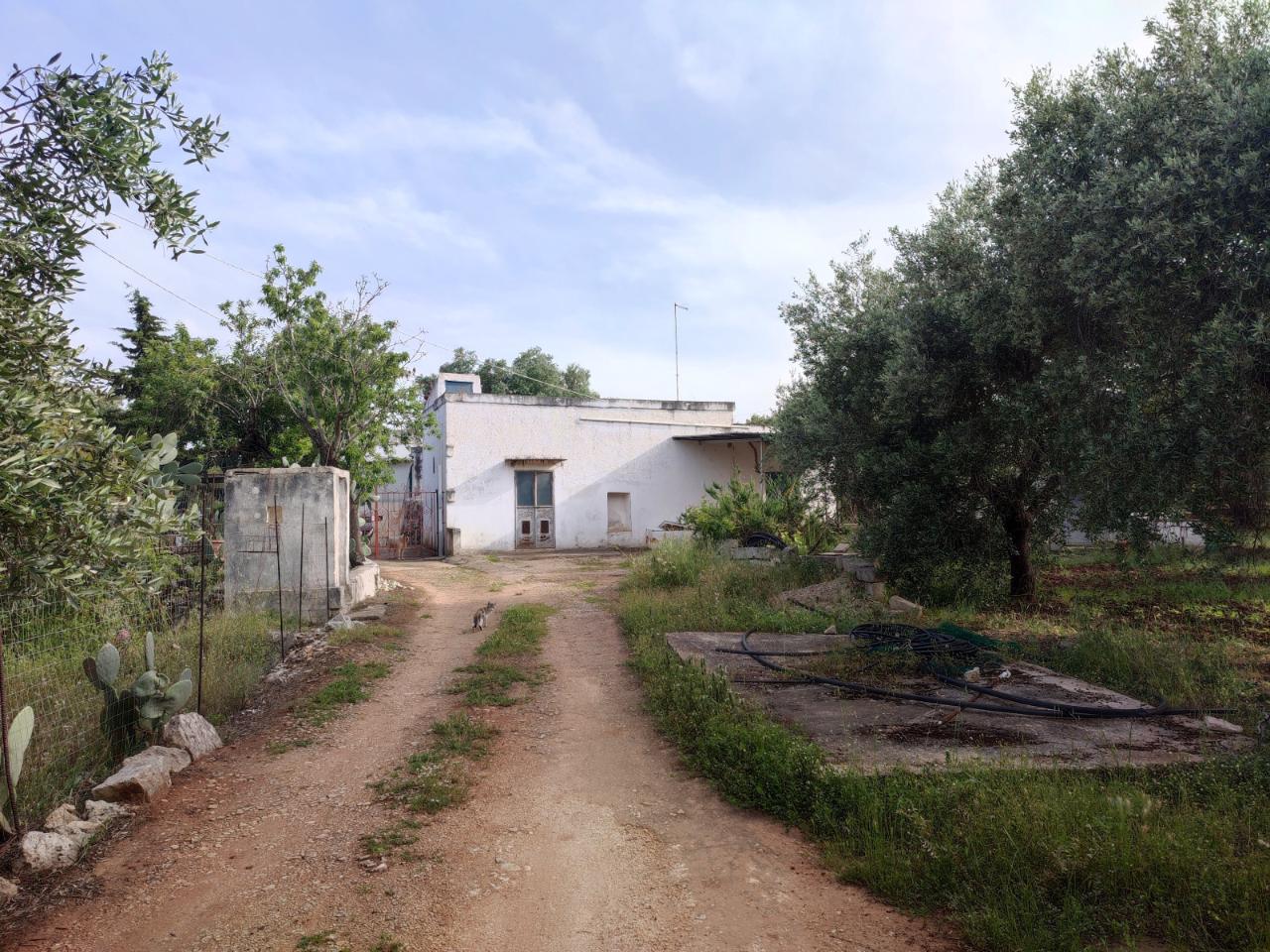 Rustico in vendita a Ostuni