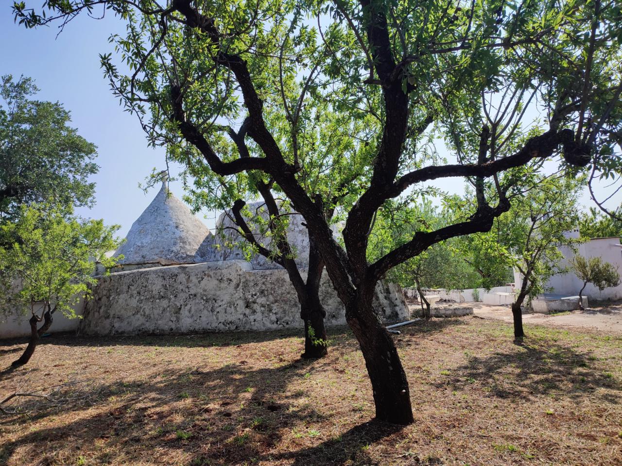 Rustico in vendita a Ostuni