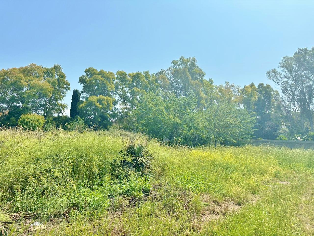 Terreno agricolo in vendita a Roma
