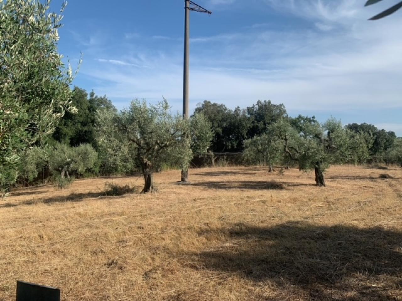 Terreno agricolo in vendita a Roma