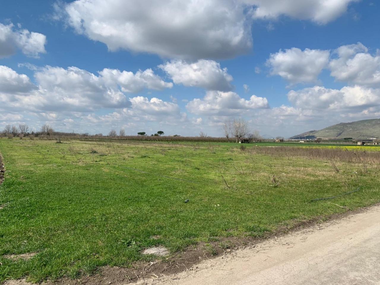 Terreno agricolo in vendita a Marigliano