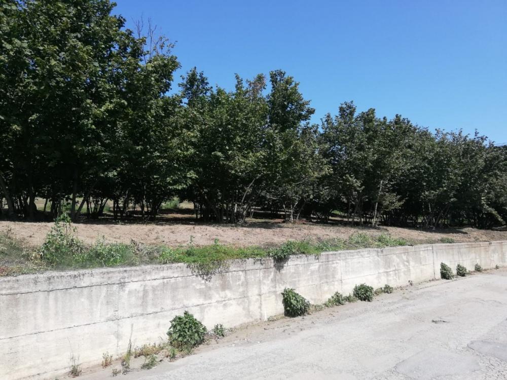 Terreno agricolo in vendita a Montefredane