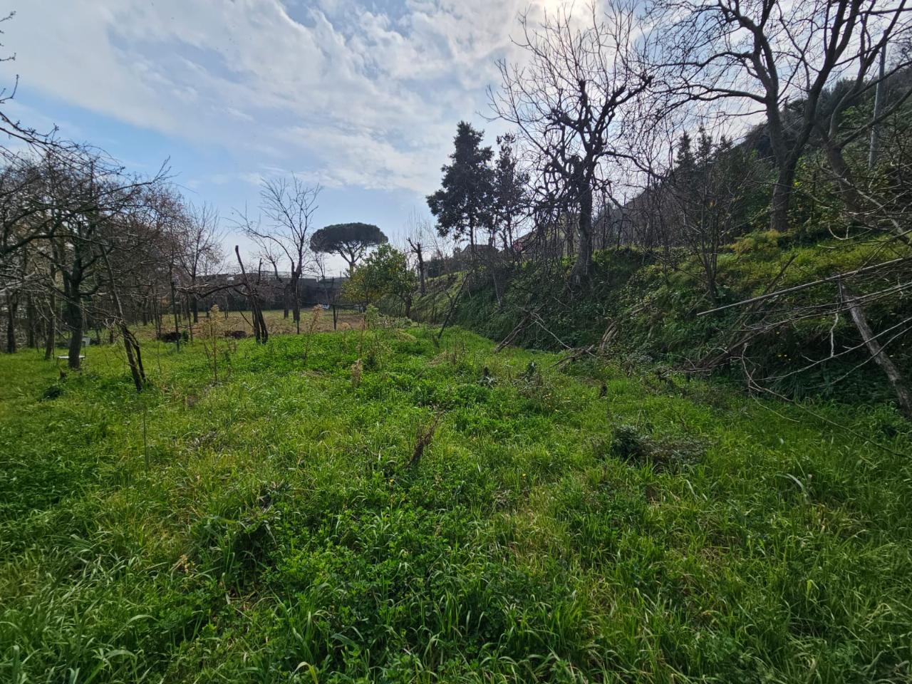 Terreno agricolo in vendita a Cava De' Tirreni