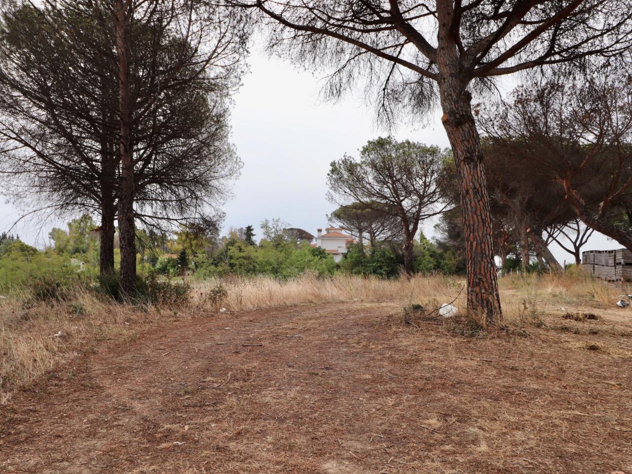 Terreno agricolo in vendita a Roma