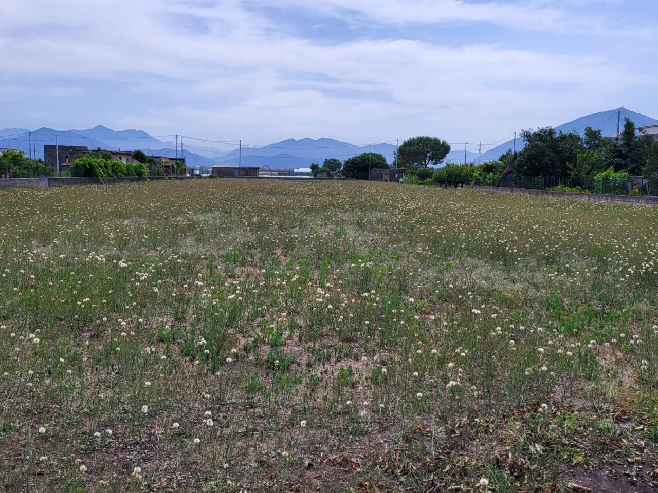 Terreno agricolo in vendita a Scafati