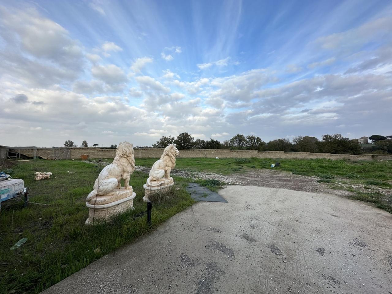 Terreno agricolo in vendita a Roma