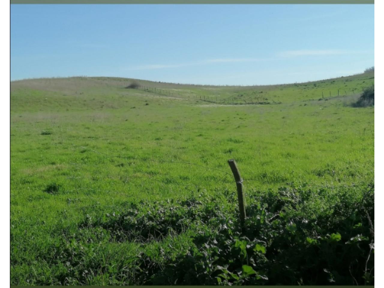 Terreno agricolo in vendita a Anguillara Sabazia