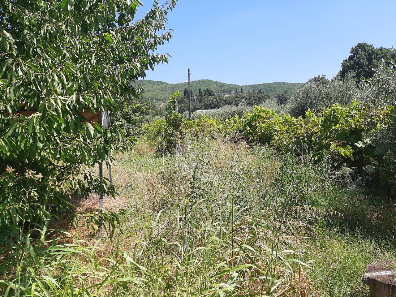 Terreno edificabile in vendita a Magione