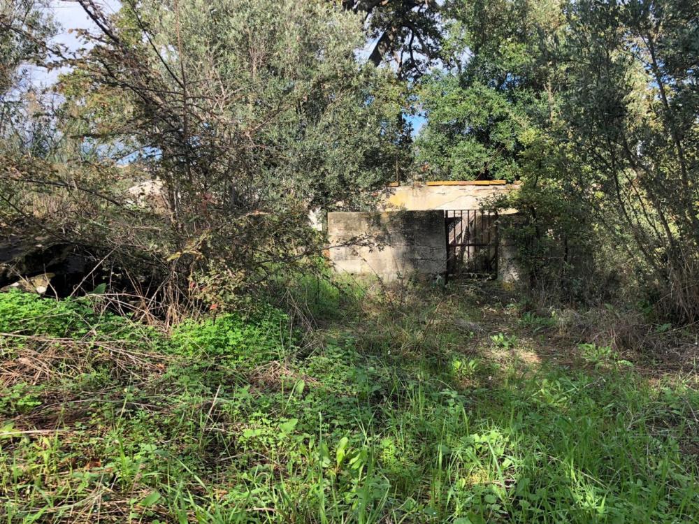 Rustico in vendita a Casal Velino