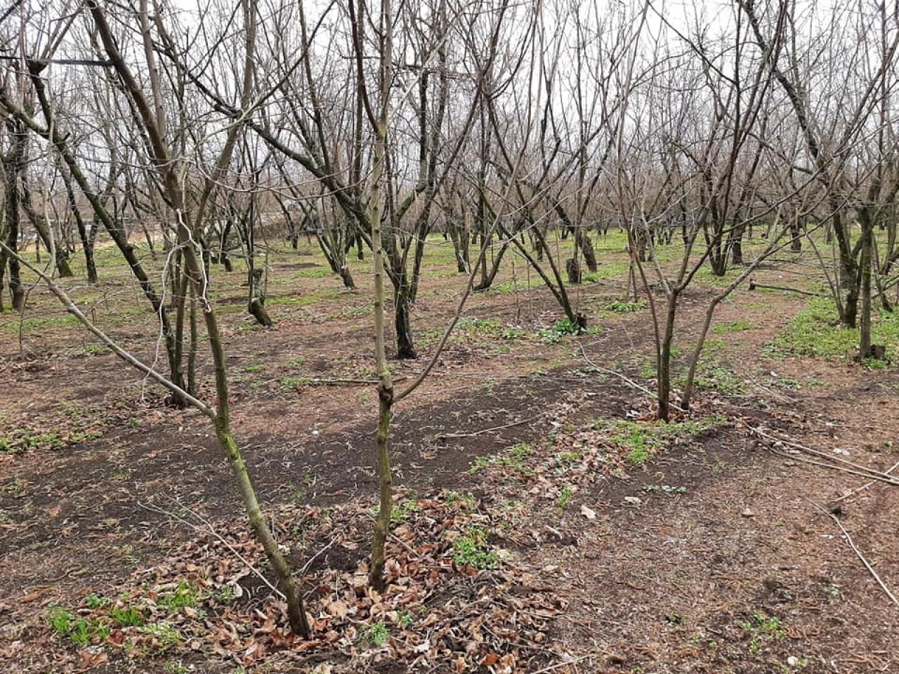 Terreno edificabile in vendita a San Paolo Bel Sito