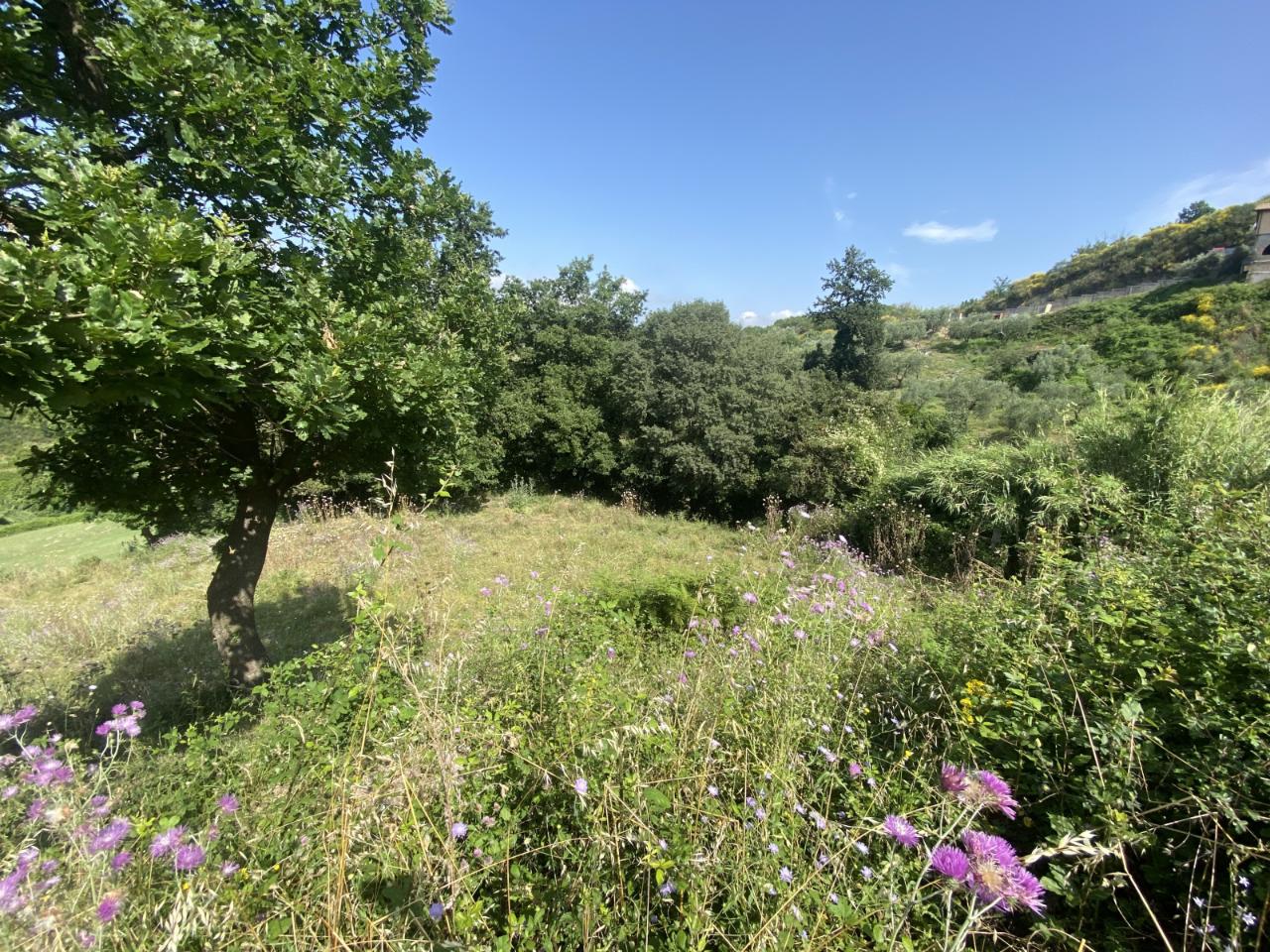 Terreno agricolo in vendita a Castelnuovo Di Porto