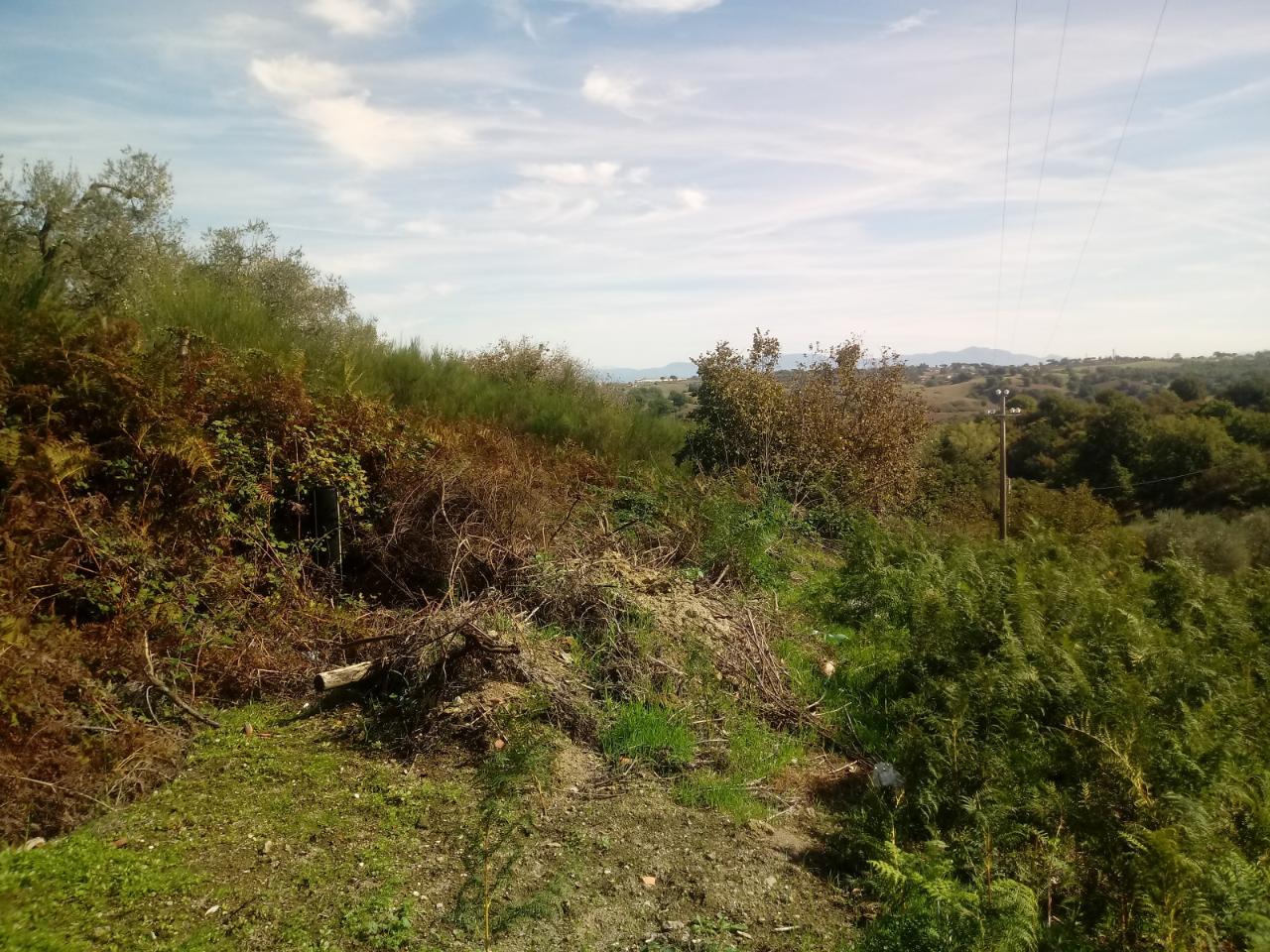 Terreno agricolo in vendita a Magliano Romano