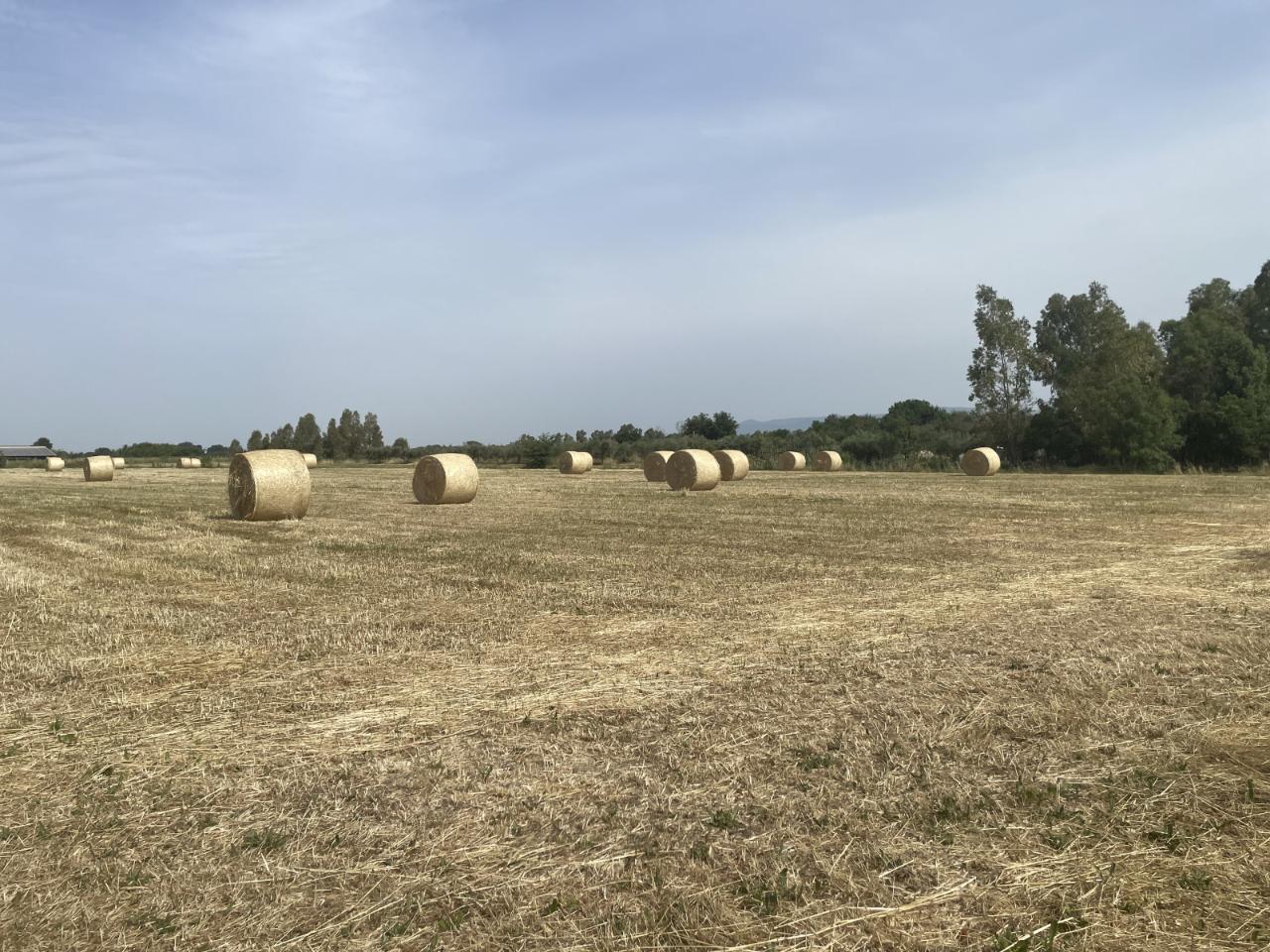 Terreno agricolo in vendita a Cisterna Di Latina