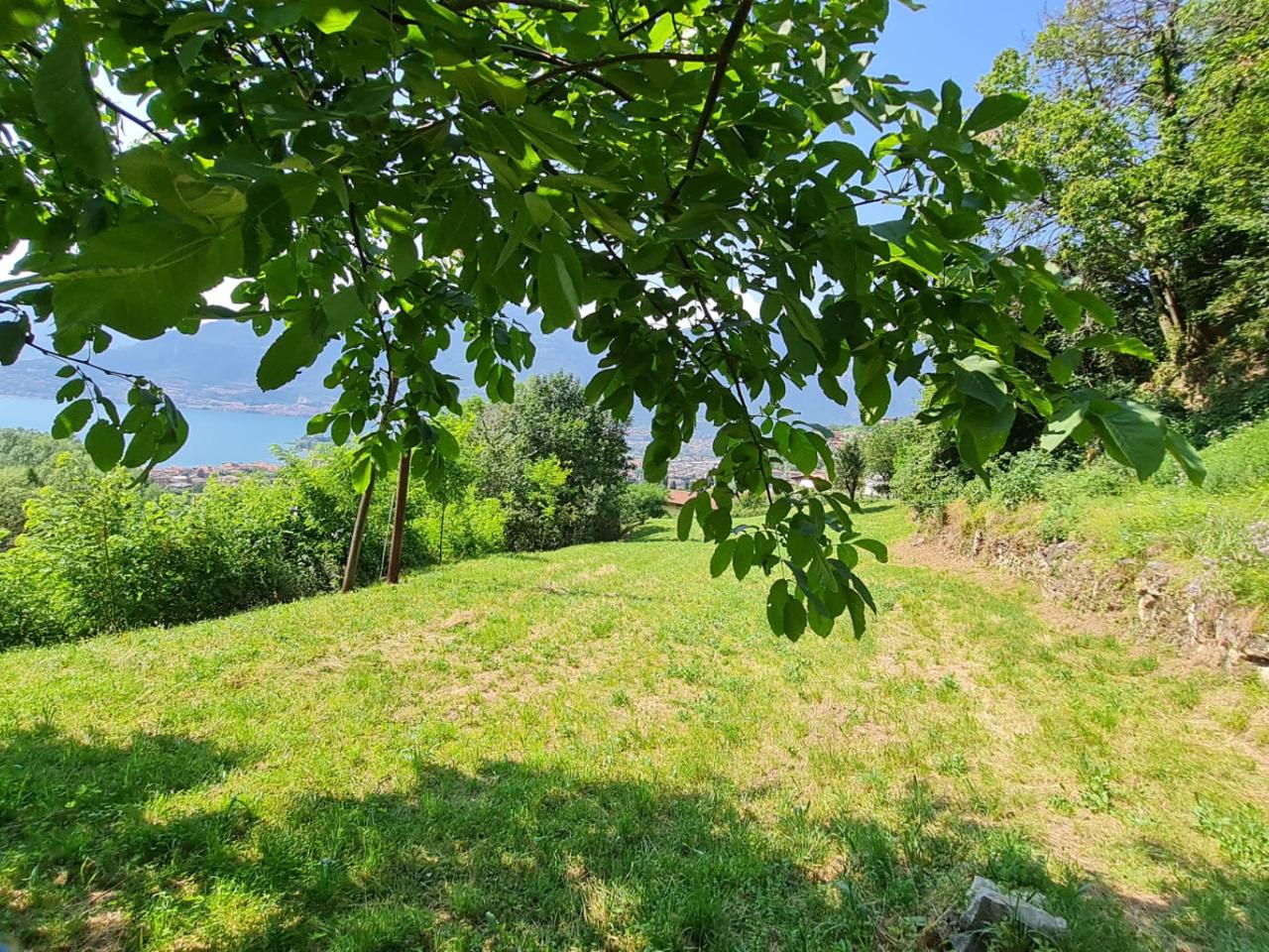 Terreno agricolo in vendita a Pisogne