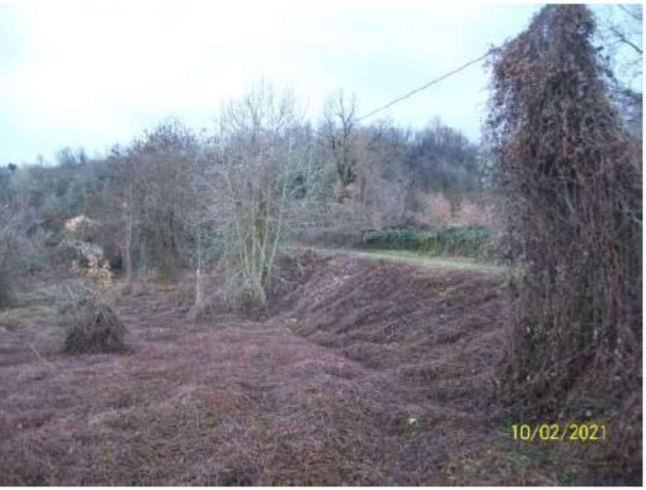 Terreno agricolo in vendita a Ponte Dell'Olio
