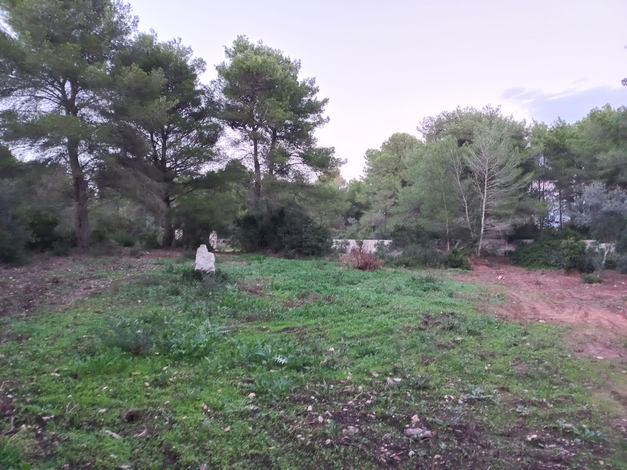 Terreno agricolo in vendita a Lecce