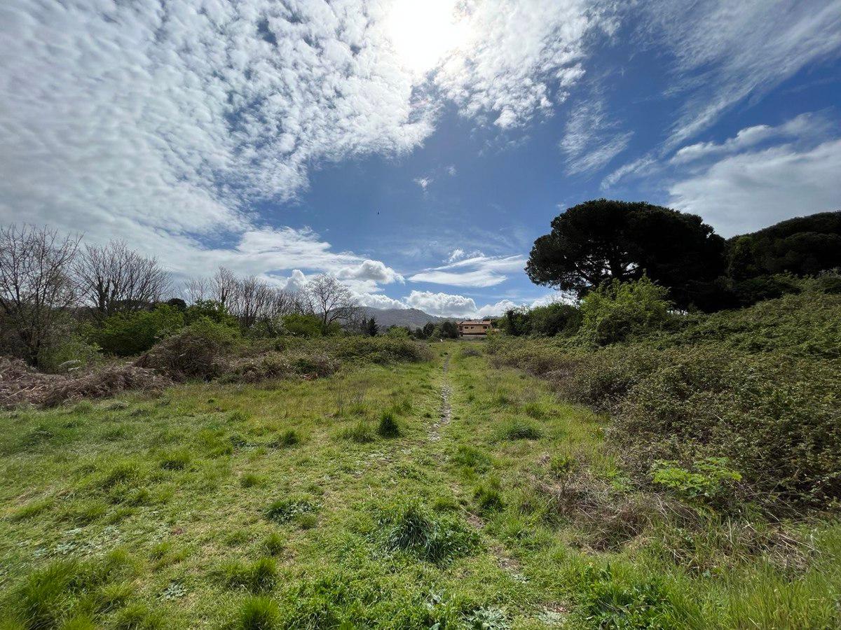 Terreno edificabile in Via di Carta Brutta Snc, Grottaferrata