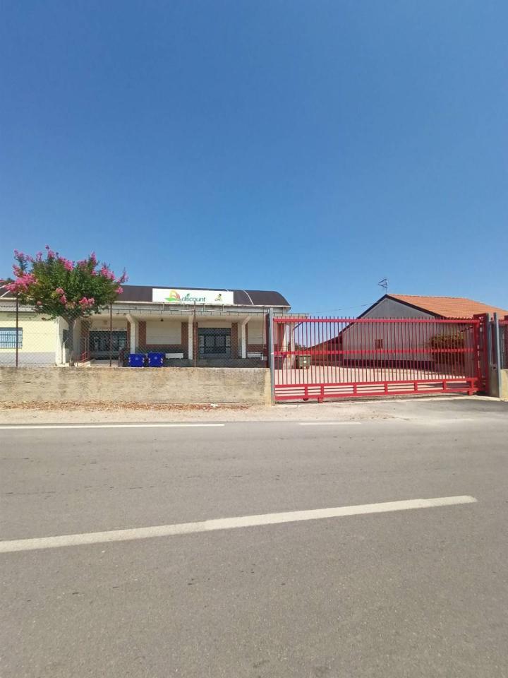 Negozio in affitto a Crecchio