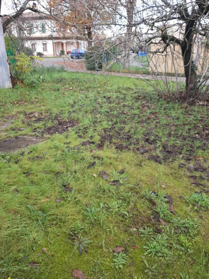 Casa indipendente in vendita a Forli'