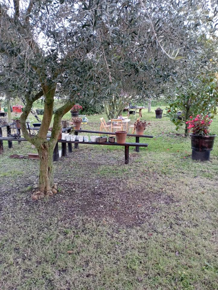 Villa in vendita a Forli'