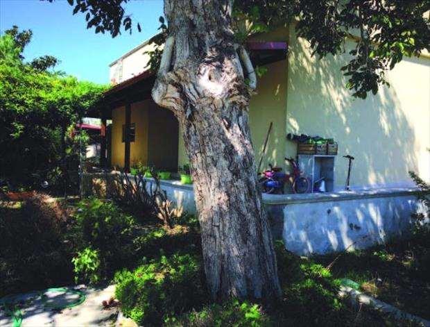 Villa unifamiliare in vendita a Uggiano La Chiesa