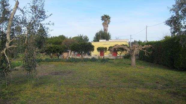 Casa indipendente in vendita a Cutrofiano