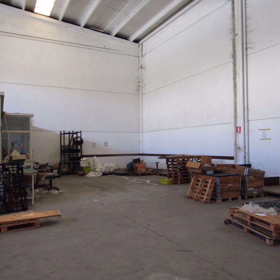 Capannone in affitto a Massa