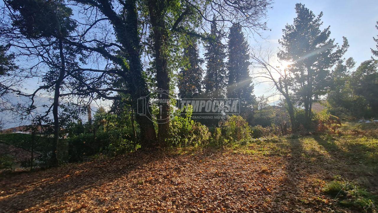 Terreno edificabile in vendita a Cernobbio