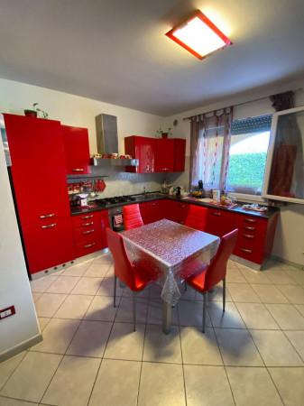 Villa bifamiliare in vendita a Corbola