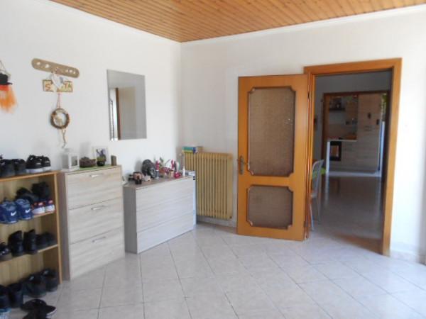 Terratetto plurifamiliare in vendita a Adria