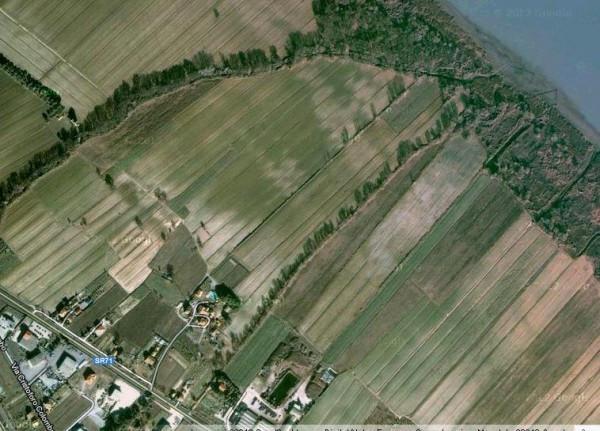Terreno agricolo in vendita a Castiglione Del Lago