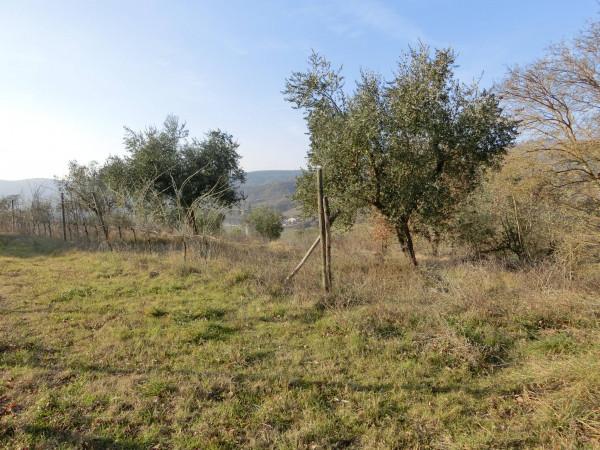 Terreno agricolo in vendita a Corciano