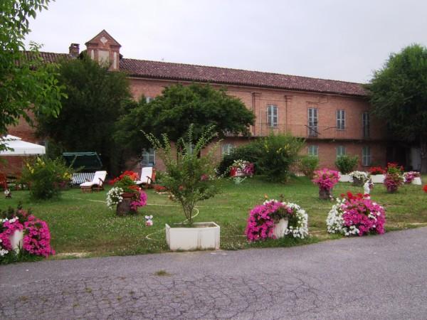 Azienda agricola in vendita a Vigliano D'Asti