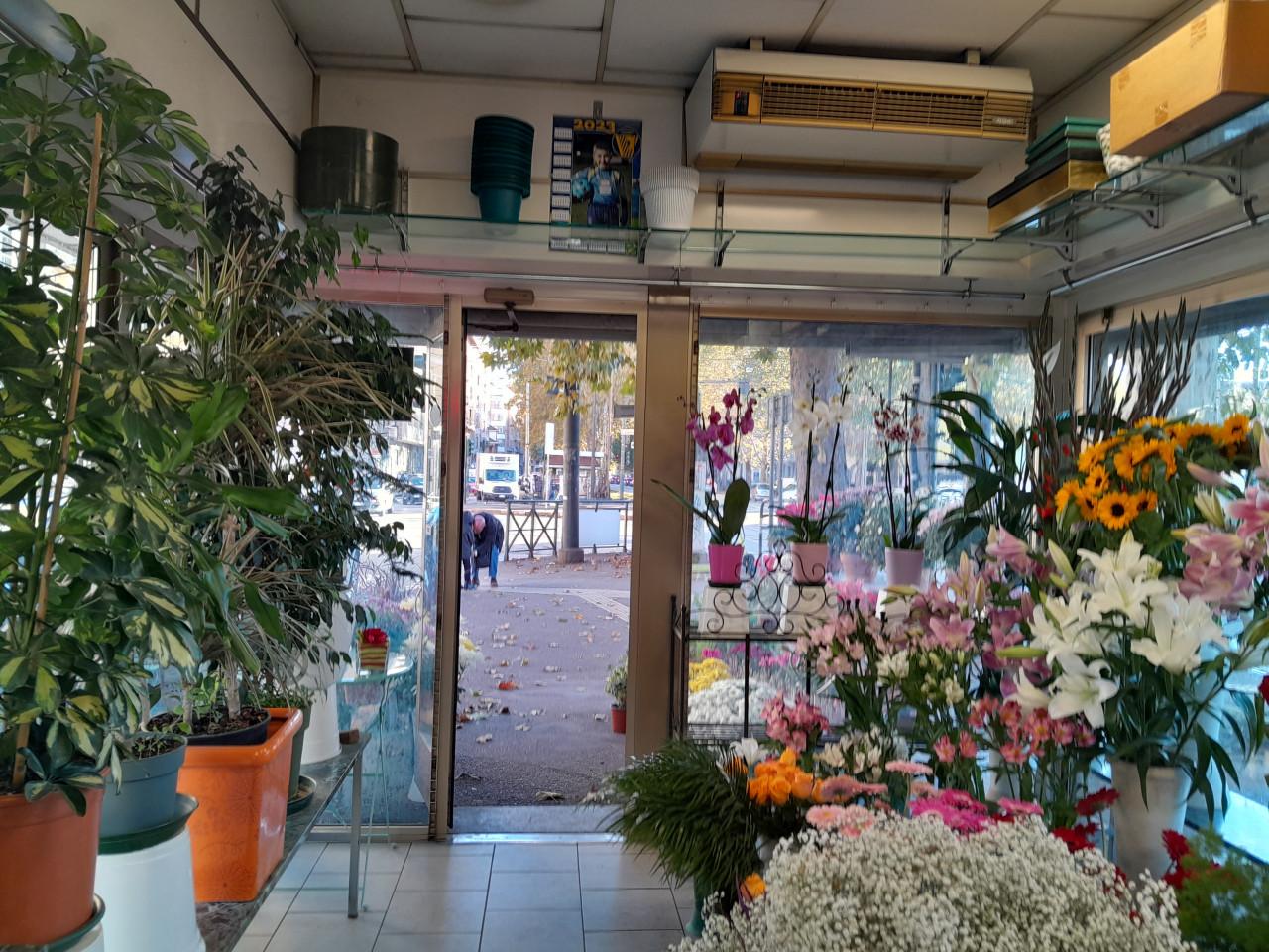 Piante e fiori in vendita a Torino