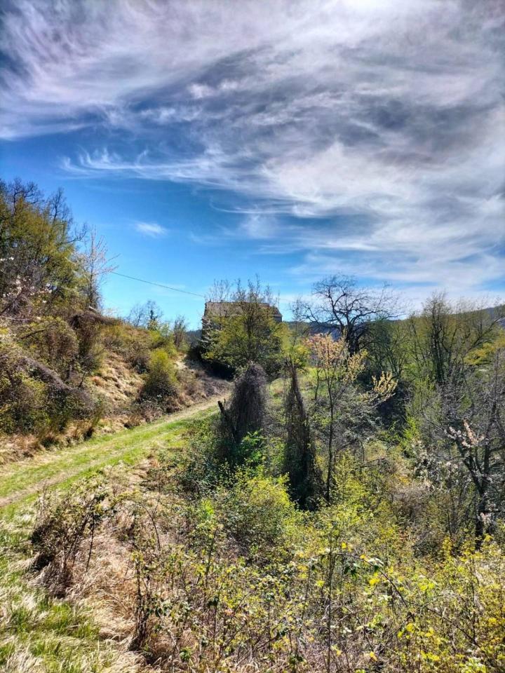 Immobile residenziale in vendita a San Benedetto Val Di Sambro