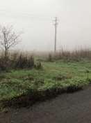 Terreno edificabile in vendita a Chignolo Po