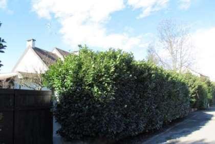 Appartamento in vendita a Dorno