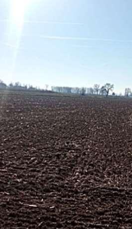 Terreno agricolo in vendita a Trovo