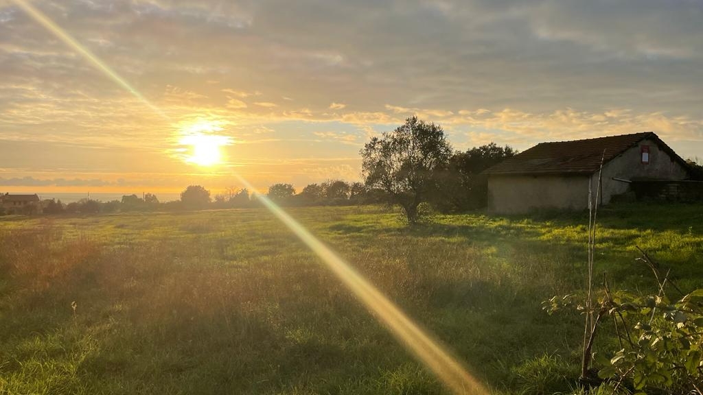 Terreno agricolo in vendita a Lanuvio