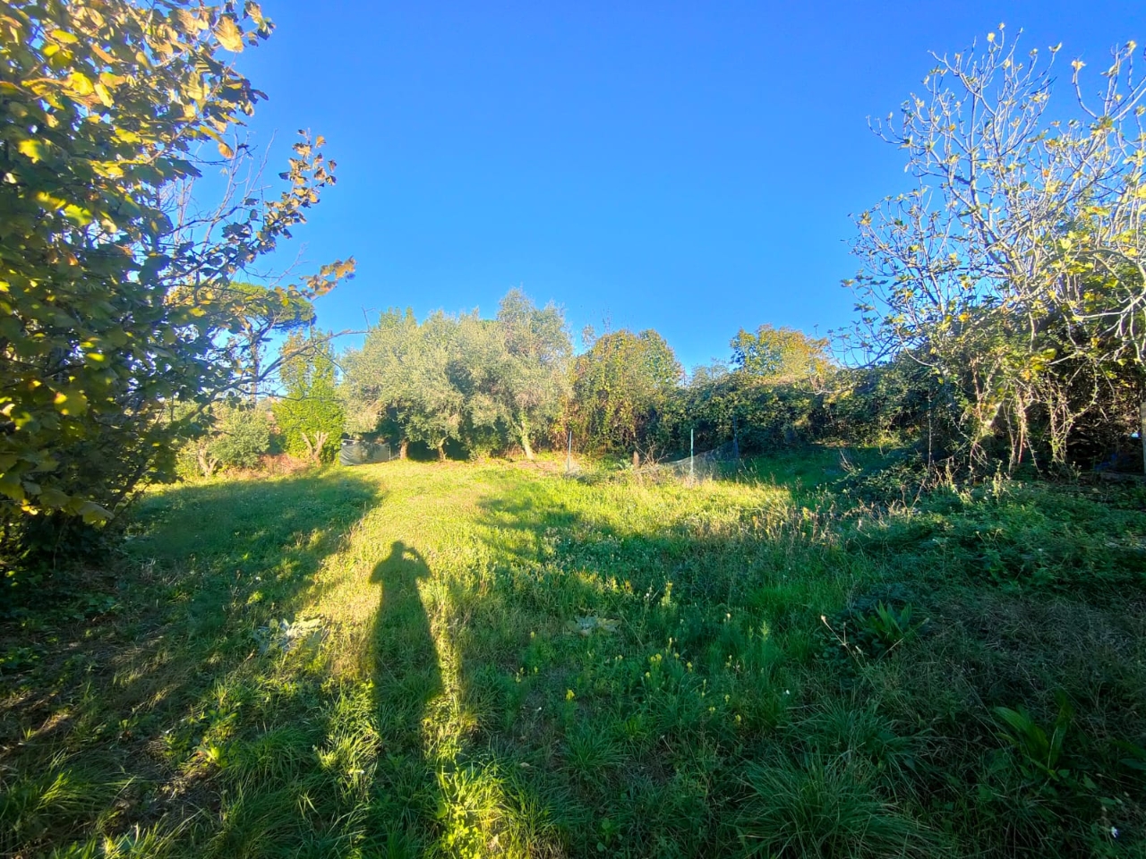 Terreno edificabile in vendita a Marino