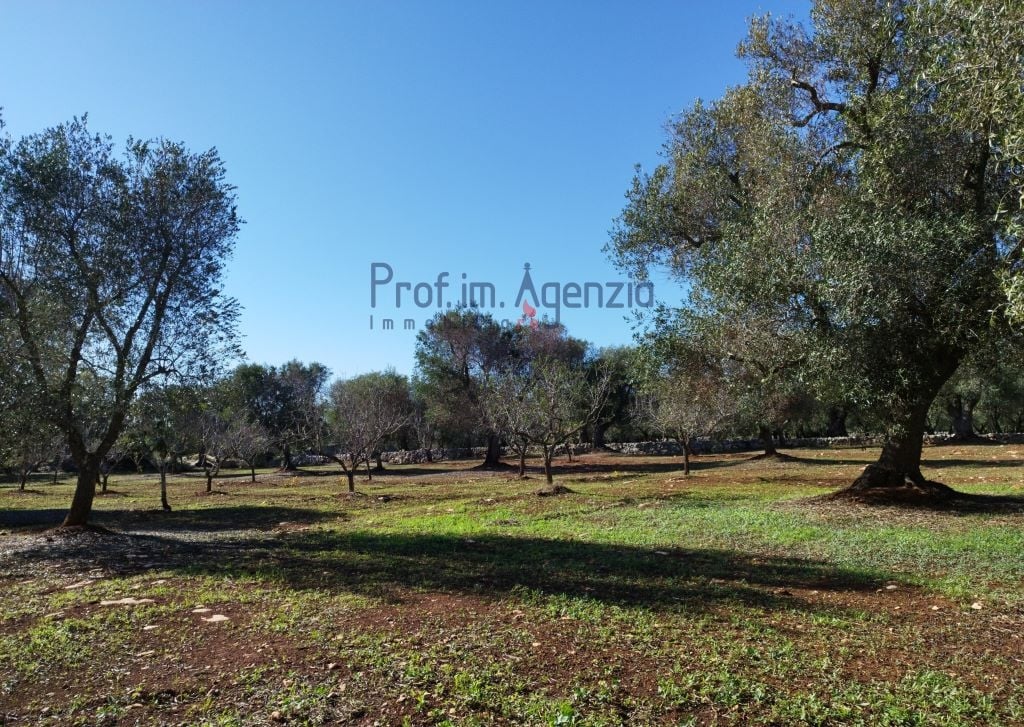 Terreno agricolo in vendita a Carovigno