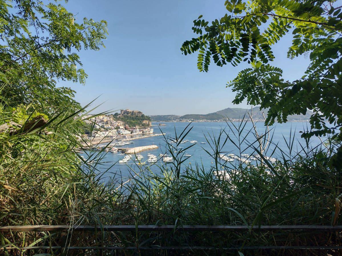 Terreno agricolo in vendita a Bacoli
